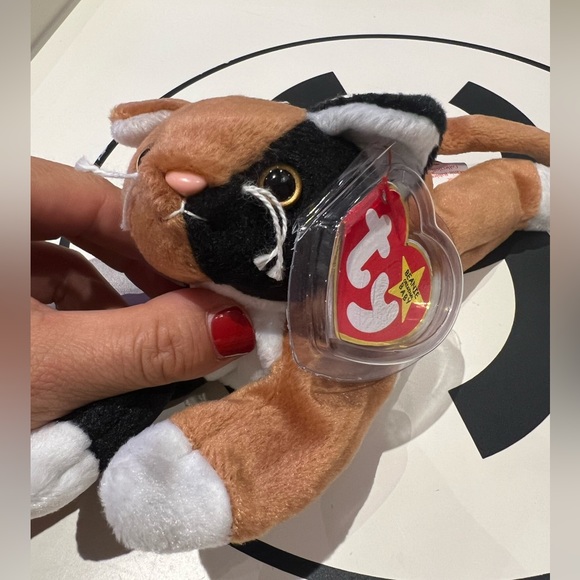Ty | Toys | Chip The Cat Pair Ty Beanie Baby | Poshmark